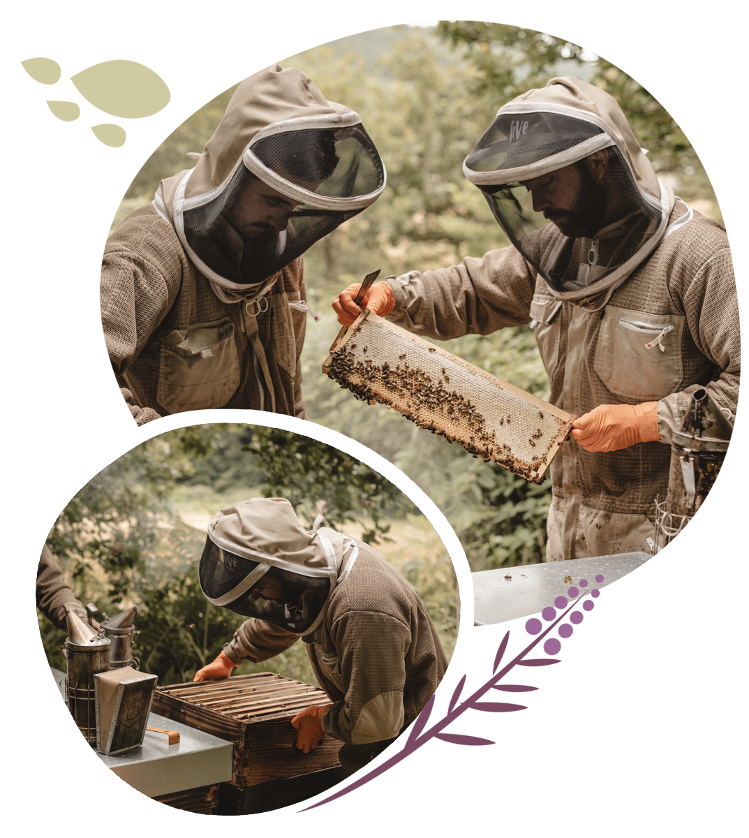 About – Native Honey
